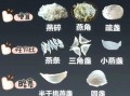 怎么样炖燕窝最好_炖燕窝的正确方法