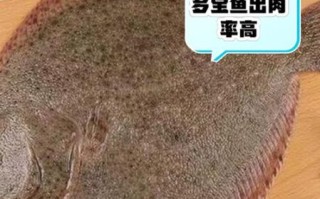 多宝鱼为什么不能吃_多宝鱼含有什么毒素