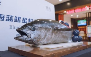 鱼鱼桌面秀是什么_鱼鱼桌面秀怎么用