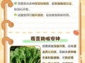 茼蒿菜的功效与作用禁忌_什么人不能吃