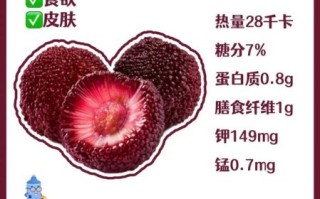 杨梅吃了有什么好处_杨梅吃多了会上火吗