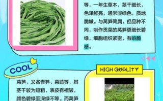 苔菜是莴笋晒干的吗_苔菜和莴笋的区别