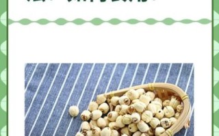 莲子怎么吃最养人_莲子功效与作用禁忌