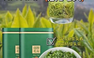 毛尖茶多少钱一斤_正宗信阳毛尖价格区间