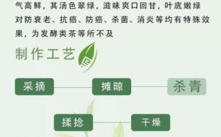 喝绿茶能减肥吗_绿茶减肥原理