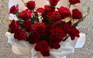 玫瑰花图片唯美_如何拍出高级感