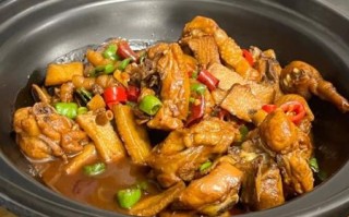 家常炖鸡怎么做_家常炖鸡的做法大全