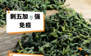 长期喝刺五加茶的危害_刺五加茶副作用有哪些