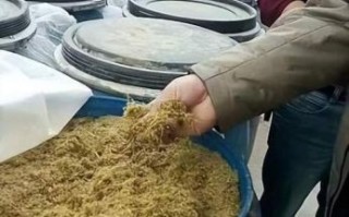发酵饲料怎么做_发酵饲料喂猪优缺点