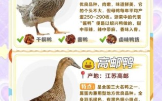 鸭肉的营养价值及功效与作用禁忌_什么人不能吃鸭肉