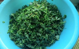 马齿苋菜馍怎么做_马齿苋菜馍的做法窍门