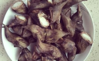 菱角读音是什么_菱角怎么读拼音