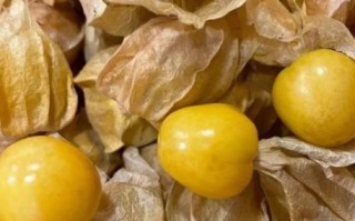 喉咙痛吃什么好_喉咙痛吃什么水果