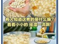 糖水鸡头米怎么做_鸡头米糖水要煮多久