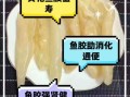 黄花鱼胶的功效与作用_黄花鱼胶怎么吃最好