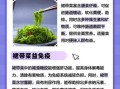 裙带菜什么人不能吃_孕妇能吃裙带菜吗
