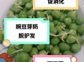 豌豆芽怎么保存_豌豆芽可以生吃吗