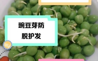 豌豆芽怎么保存_豌豆芽可以生吃吗
