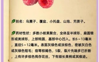覆盆子能提高性功能吗_覆盆子对肾阴虚还是肾阳虚