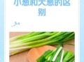 葱油面可以用大葱吗_大葱与小葱味道差别