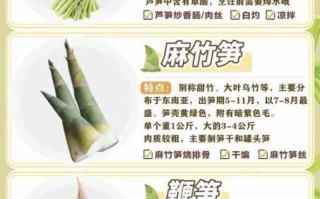 竹笋的营养价值与禁忌_哪些人不能吃竹笋