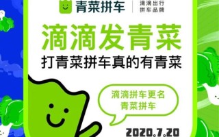 青菜拼车靠谱吗_青菜拼车安全吗