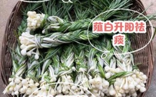 薤白是什么东西_薤白和藠头一样吗