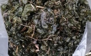 地皮菜干多少钱一斤_哪里买地皮菜干最便宜