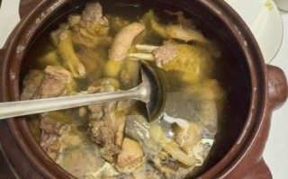 清炖鹅肉汤怎么做_清炖鹅肉汤去腥技巧