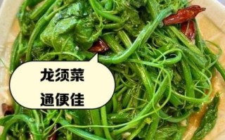 龙须菜吃多了有什么坏处_龙须菜过量副作用