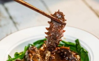 葱爆海参家常做法_海参怎么发才没腥味