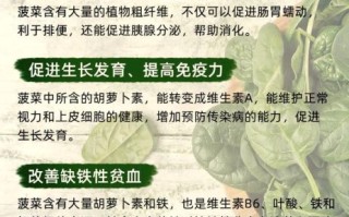 菠菜的营养价值及功效与作用禁忌_什么人不能吃菠菜