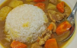 鸡肉土豆咖喱饭怎么做_咖喱饭用什么咖喱块