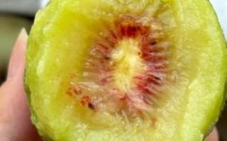 红心猕猴桃图片大全_红心猕猴桃怎么挑选