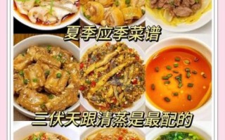 夏季吃什么食物养生_夏季养生食谱推荐