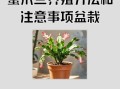 蟹爪兰怎么养_蟹爪兰多久浇一次水
