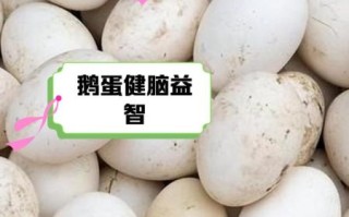 鹅蛋怎么吃最有营养_鹅蛋营养价值高吗