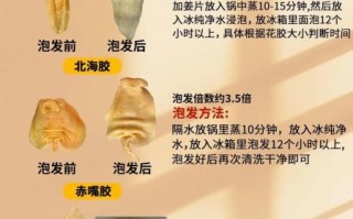 花胶要泡多久才能炖汤_花胶泡发时间多久最好