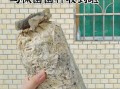 黄丝菌种植技术_黄丝菌怎么种