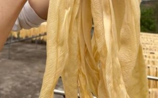 腐竹是怎么做出来的_家庭自制腐竹步骤