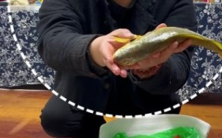 野生大黄鱼价格多少钱一斤_野生大黄鱼为什么这么贵