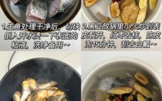 黑鱼怎么炖汤好喝又营养_黑鱼炖汤的做法大全