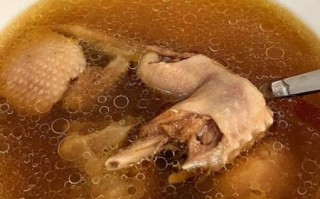 炖老鸭汤的做法大全_老鸭汤怎么炖才不腥