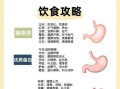 胃炎吃什么食物好_胃炎怎么调理才能好