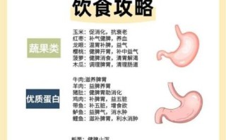 胃炎吃什么食物好_胃炎怎么调理才能好