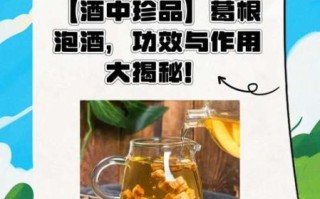 葛根解酒有用吗_葛根解酒效果怎么样 葛根解酒有用吗_葛根解酒效果怎么样