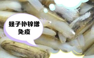 蛏子全身都可以吃吗_哪些部位不能吃