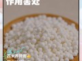 西米怎么煮才透明_西米的功效与作用