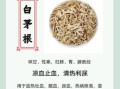 白茅根治尿毒症是真的吗_白茅根用量与禁忌