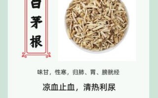 白茅根治尿毒症是真的吗_白茅根用量与禁忌
